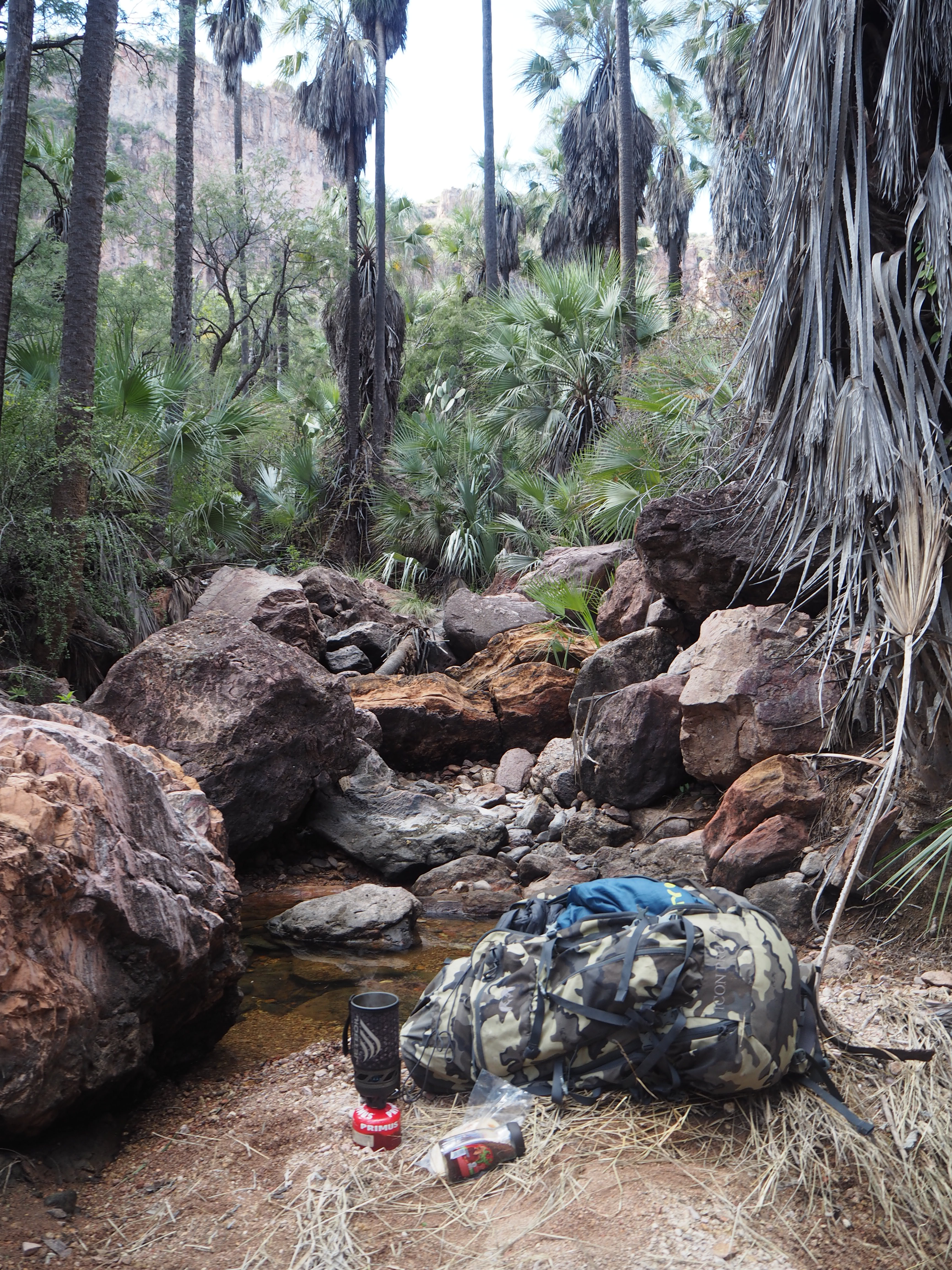 Mexico Wilderness – Empty Forests
