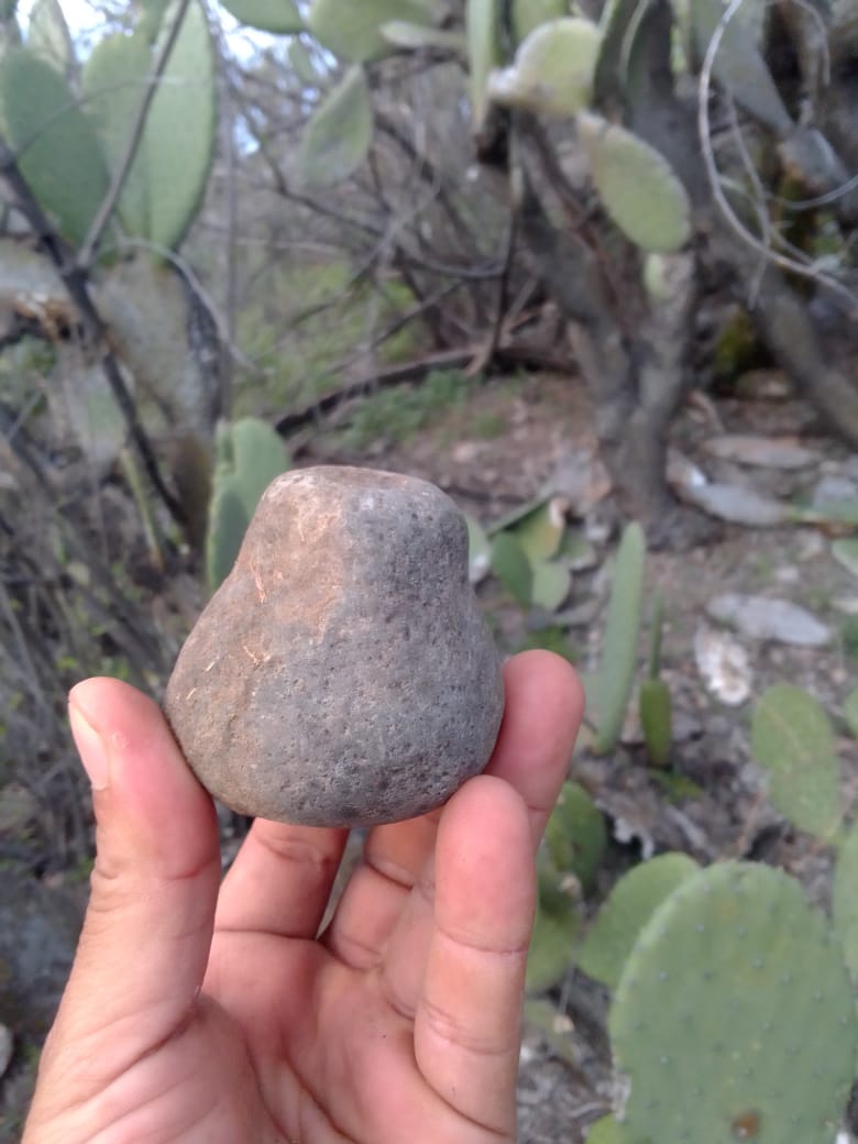 Mexico Wilderness – Empty Forests