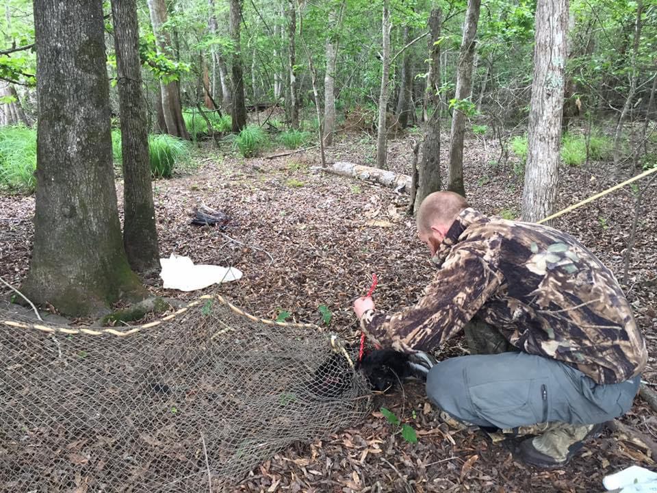 Alligator Trapping East Texas Swamps – Empty Forests
