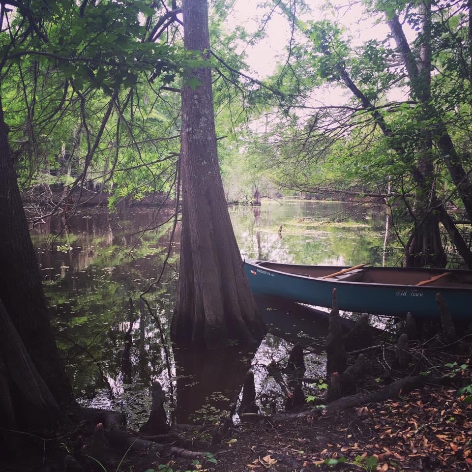 Alligator Trapping East Texas Swamps – Empty Forests